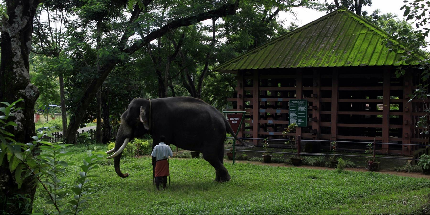 Pathanamthitta